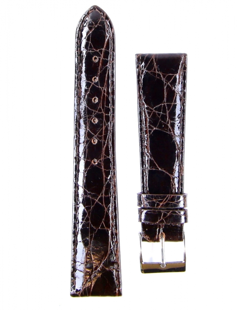Brown Polished Crocodile Strap